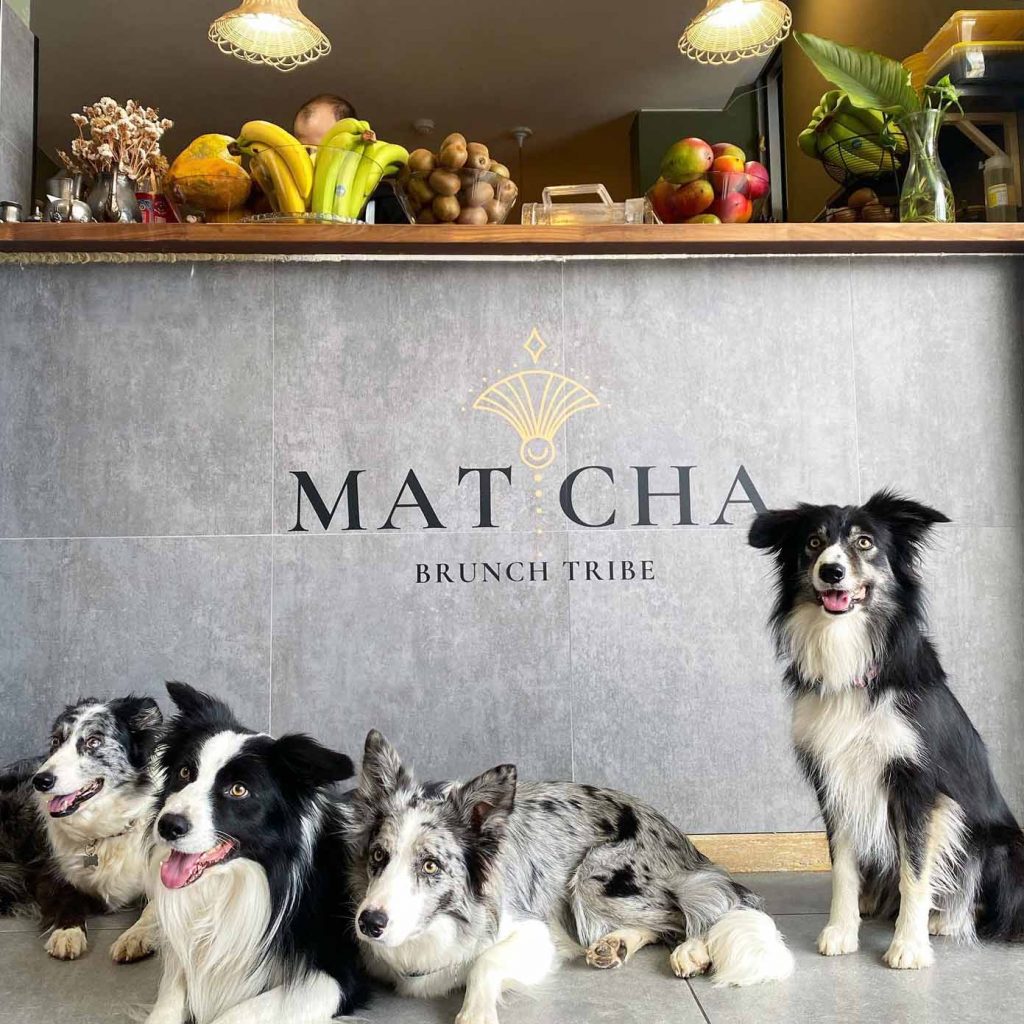 About – Matcha Carcavelos